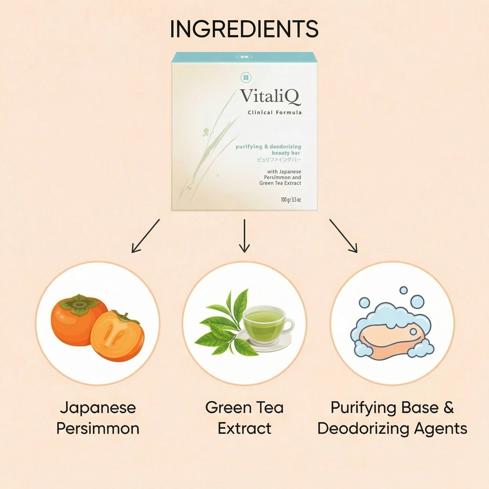 Japanese Persimmon Soap - Anti Nonenal Odour – VitaliQ